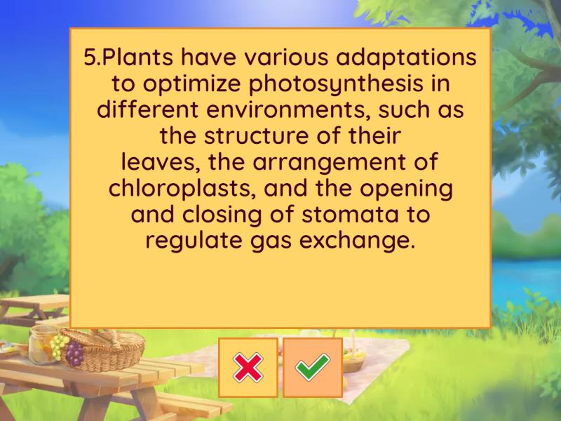 photosynthesis - Flash cards