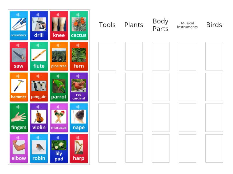 Sorting And Classifying Objects Group Sort
