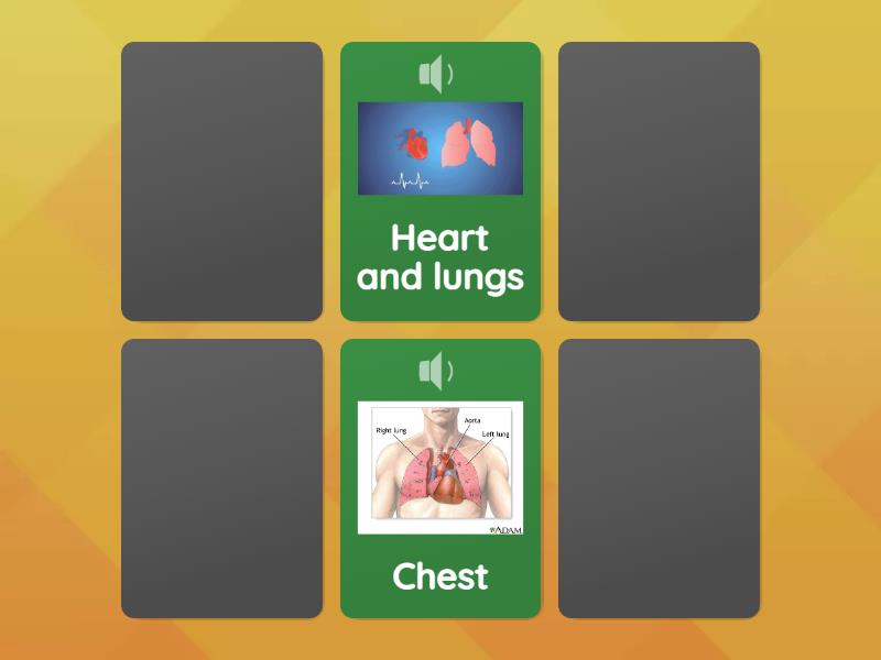 organ places - Matching pairs