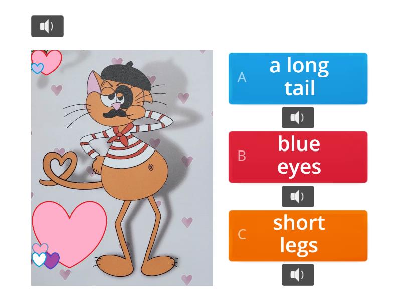 Mr Cat falls in love listening - Quiz