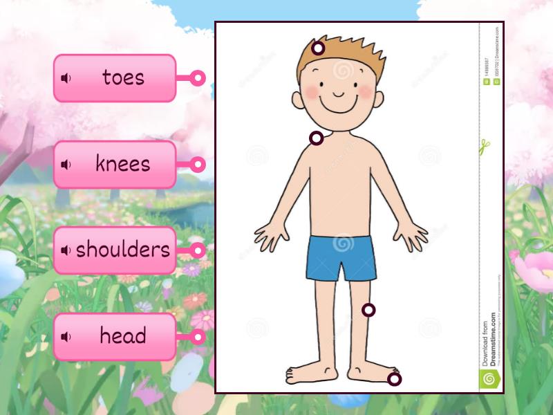 My Body - Labelled diagram