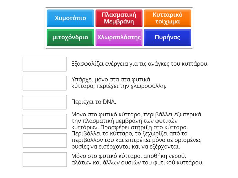 ΚΥΤΤΑΡΑ - Match up