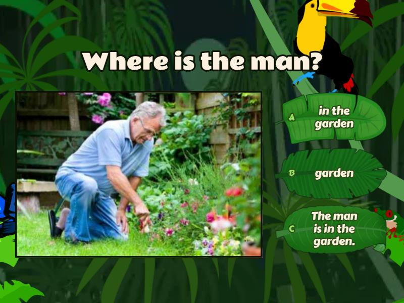 P4 Answer the Question - Quiz