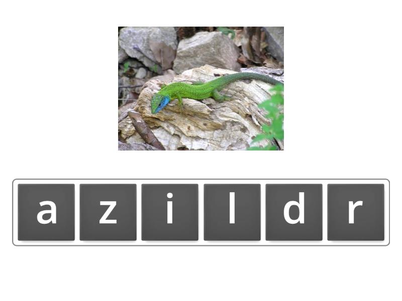 sm1 unit 3 - Anagram