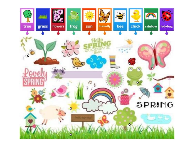 Spring time - Labelled diagram