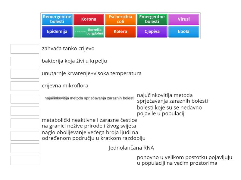 Virusne i bakterijske pandemije modernog doba - Match up