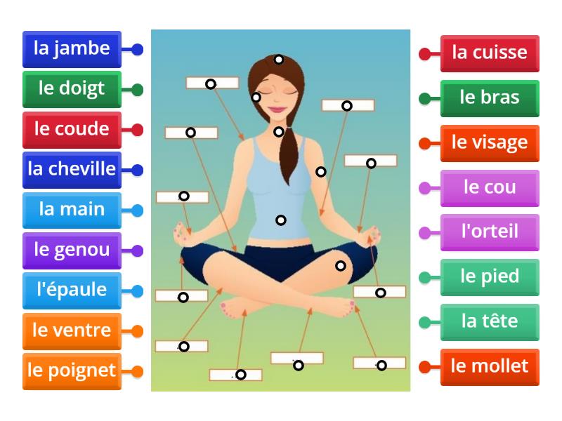 Les parties du corps - Labelled diagram