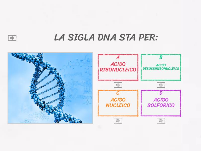 DNA - RNA - Quiz