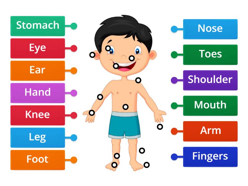 Parts of the body - Grade 1 - Labelled diagram