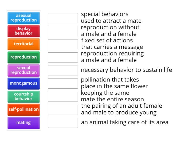 Reproductive behaviors - Match up