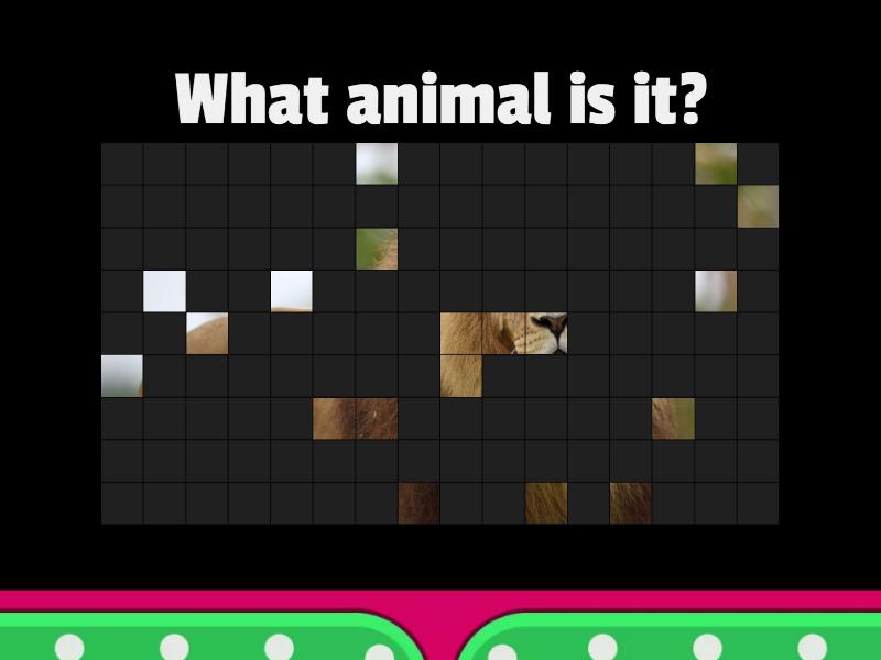 Kids Starter - wild animals (Guessing game) - Image quiz
