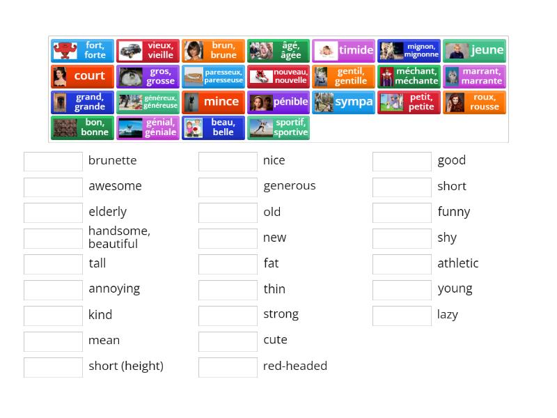 Bien Dit, Level 1, Ch. 3.1 Adjectives - Match up