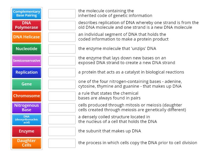 Life in Four Letters - Match up