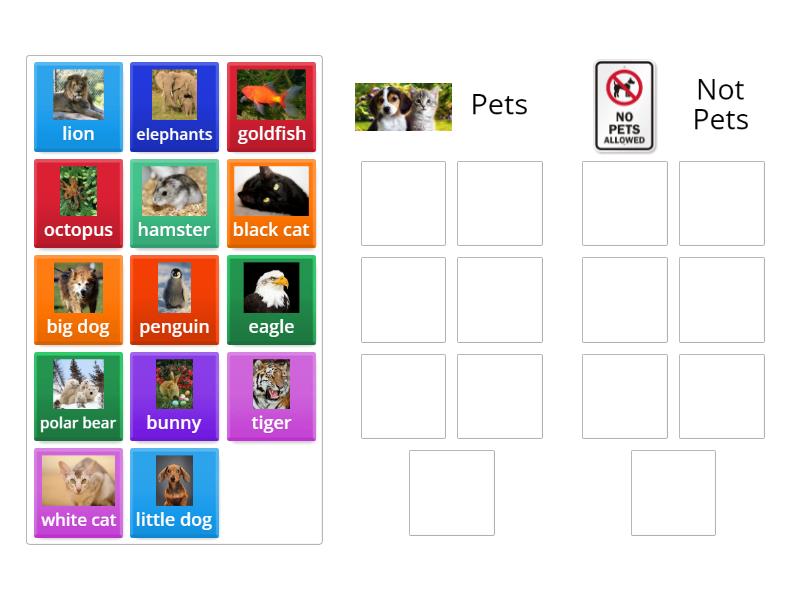 Sorting Pets & Not Pets - Group sort