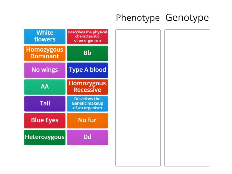 Genotype vs. Phenotype - Group sort