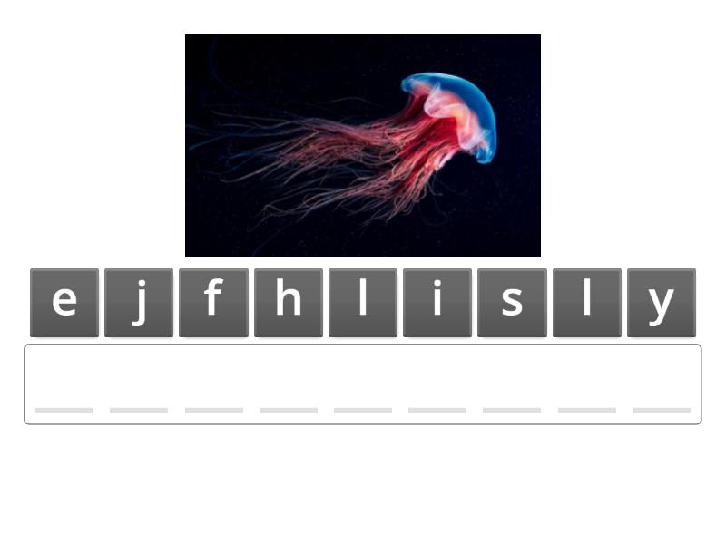Jellyfish Scramble - Anagram