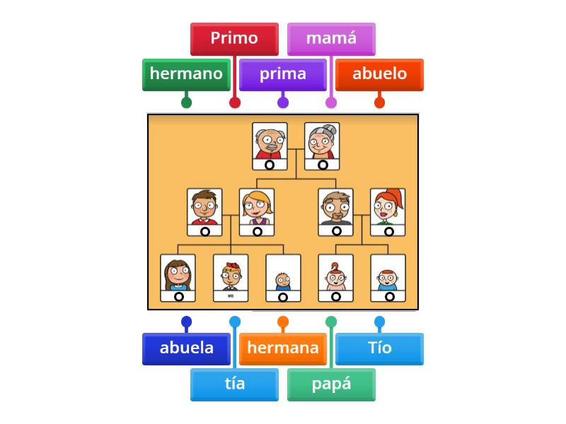 El arbol de familia - Labelled diagram