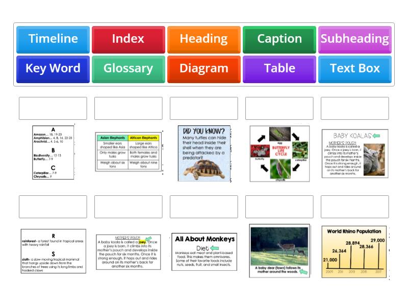 Text Features Labeling - Match up
