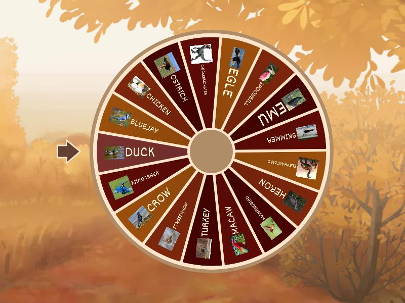 Birds - Spin the wheel