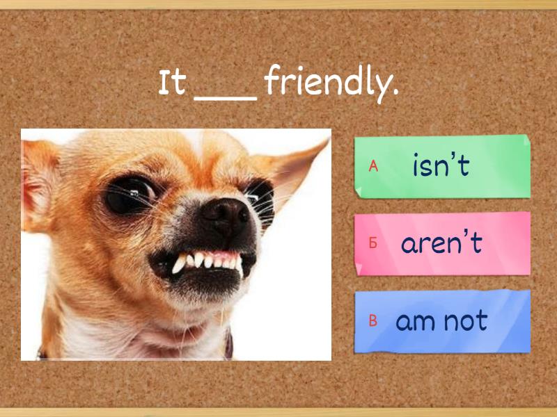 isn't aren't am not - Викторина