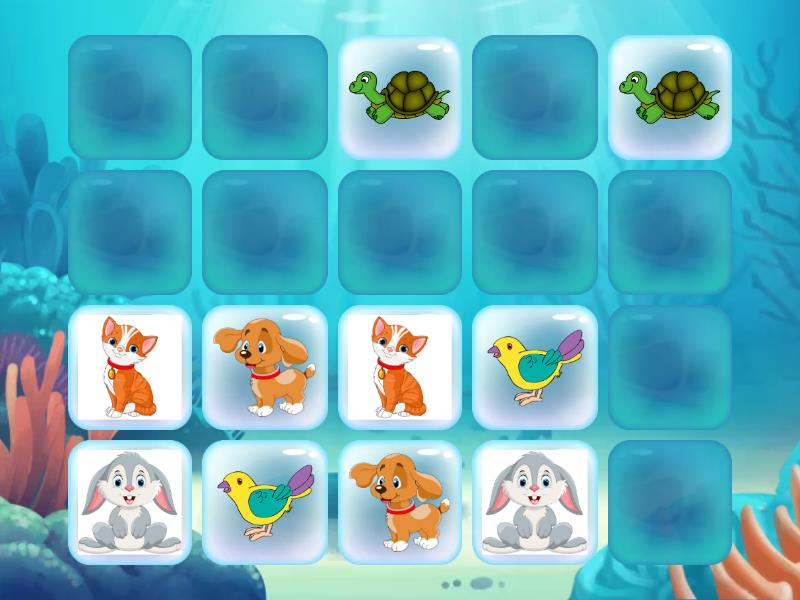 PETS - Matching pairs