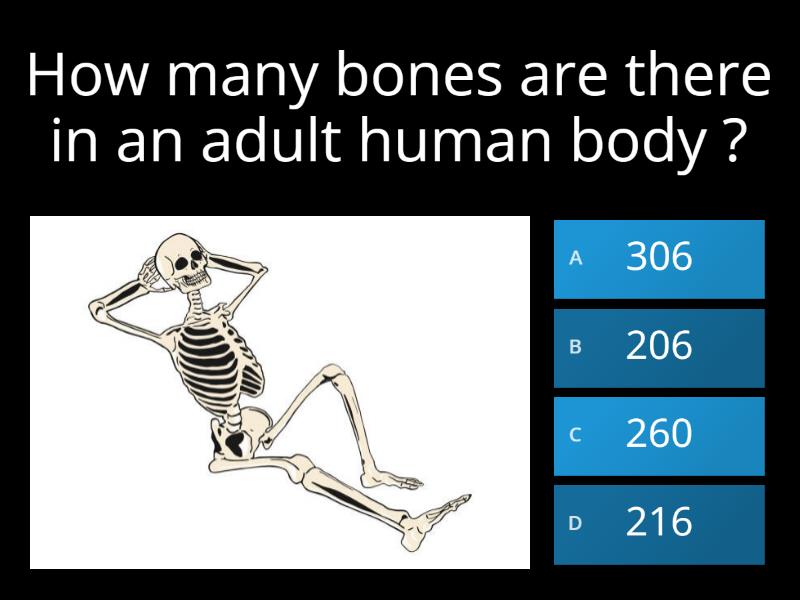 Skeleton Quiz