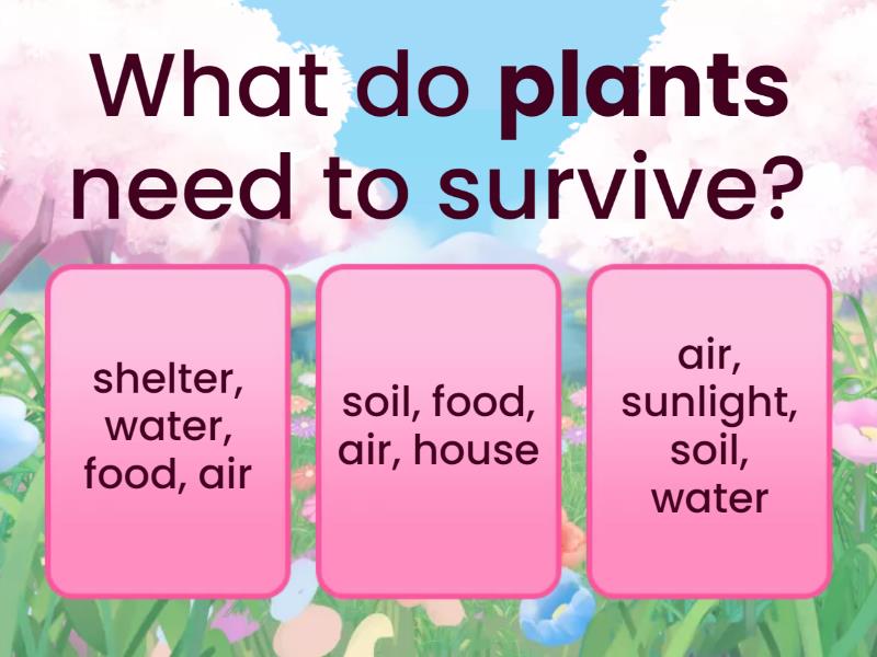 Practice: plant needs and plant parts - Quiz