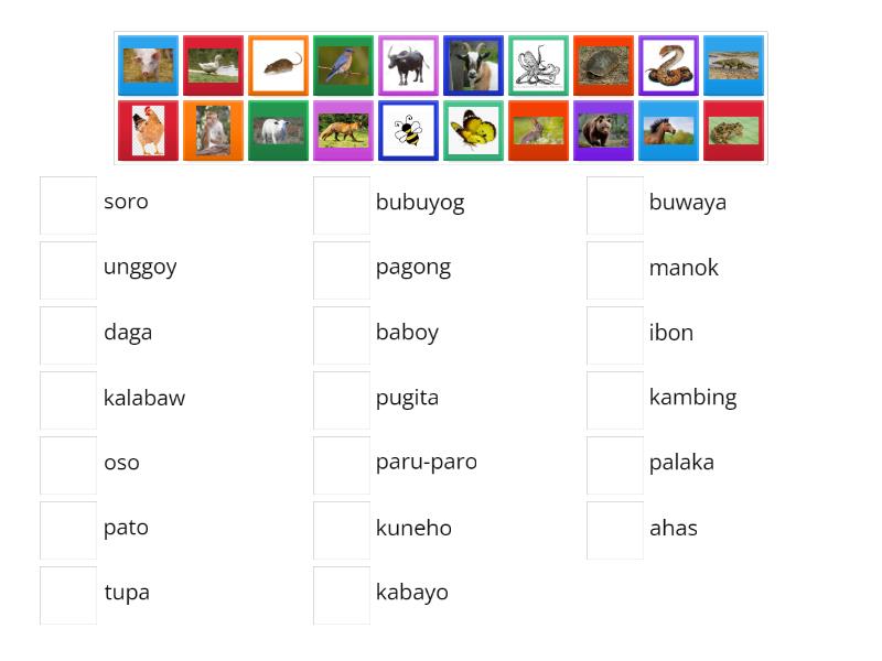 Mga hayop - Match up