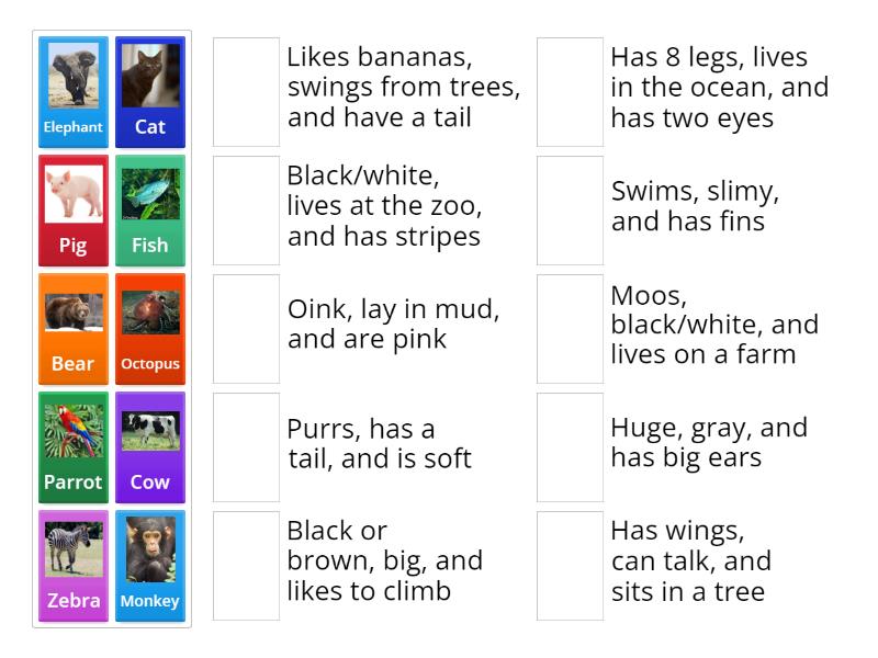 Describing Animals - Match up