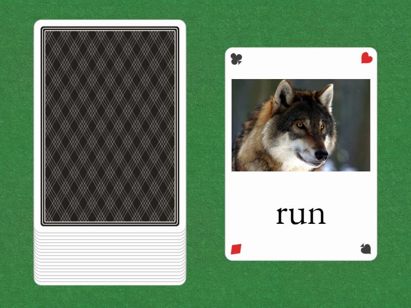 Wild Animals - Speaking cards