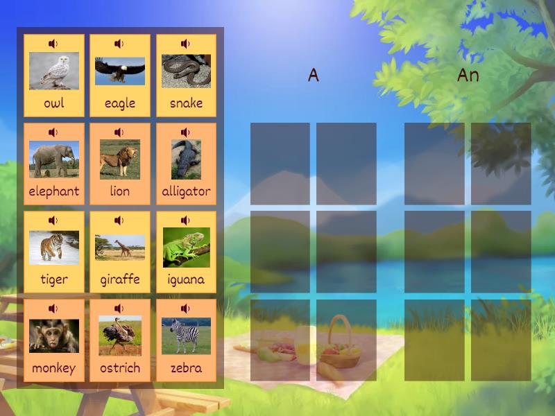 a/an(round up,animals) - Group sort