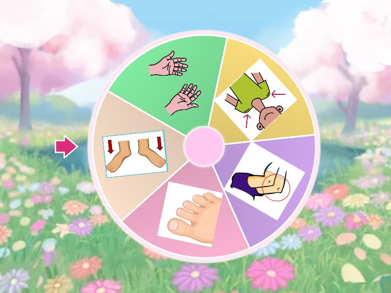 Parts of the Body - Spin the wheel