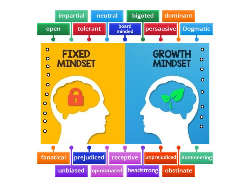 Mindset - Labelled diagram