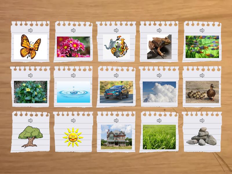 G2: Science: Unit 1: Things Around Us: Living and Non-Living Things ...