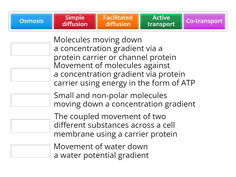 Ways substances can move across the cell-surface membrane into a cell ...