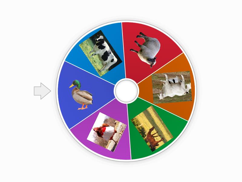 beehive starter farm animals - Spin the wheel