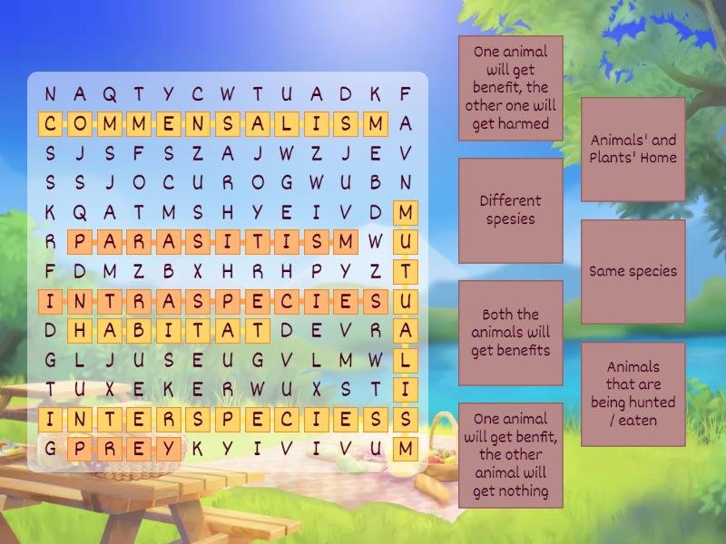 Interaction - Wordsearch