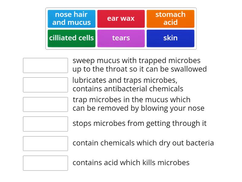 Natural defences of the body - Match up