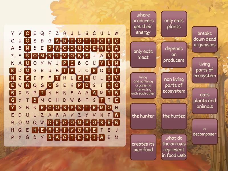 Ecosystem interactions - Wordsearch