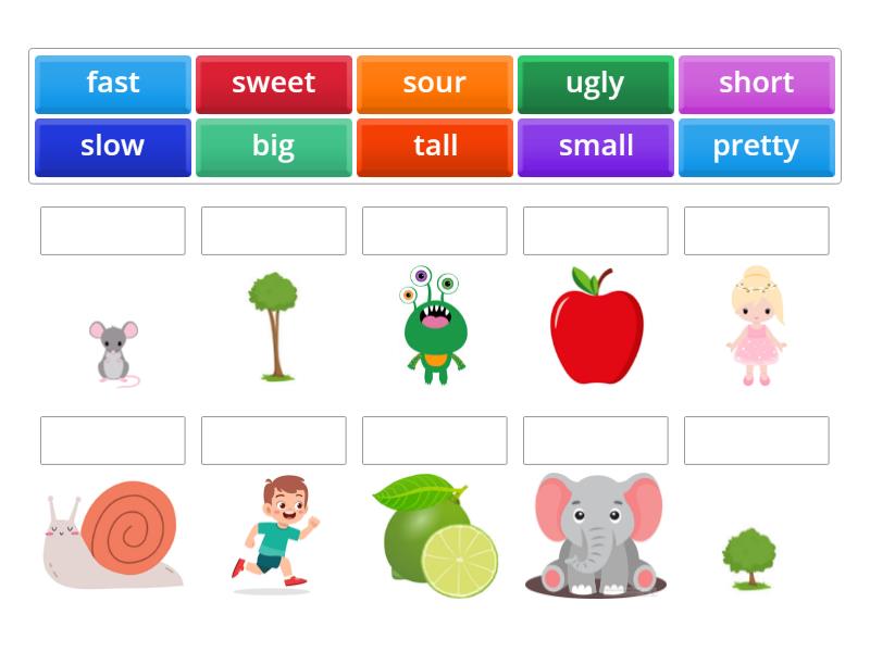 Basic Adjectives - Une las parejas