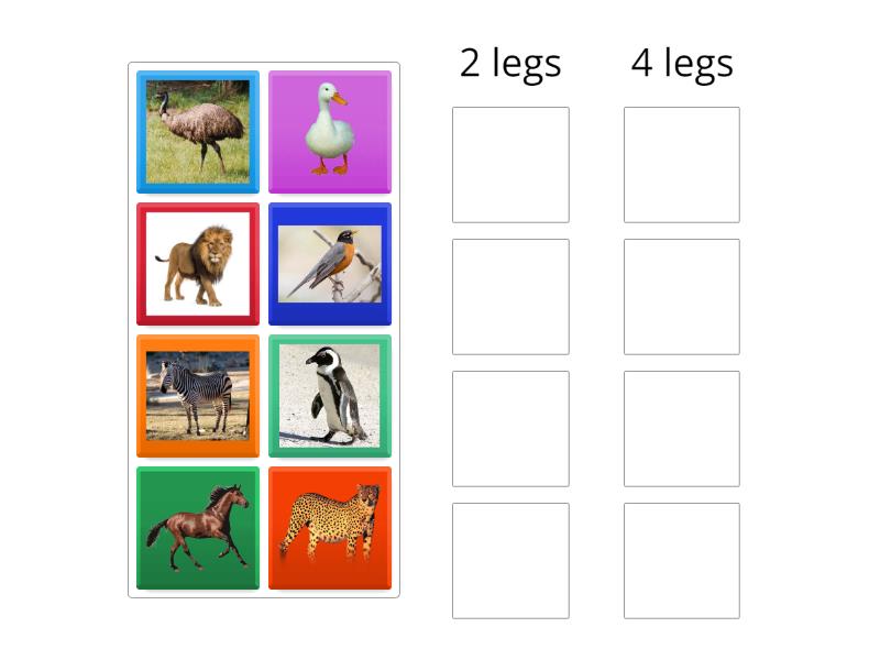 Animal sort: How many legs? - Group sort