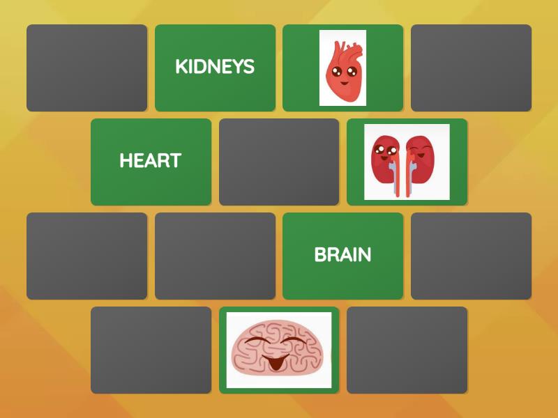 Organs! - Matching pairs