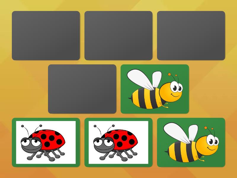 Insect memory game - Matching pairs