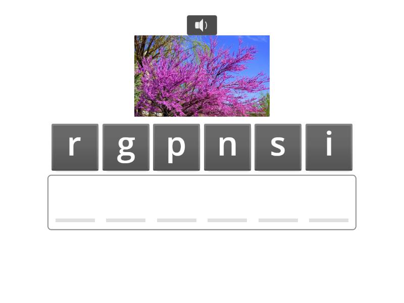 SPELLING BEE GRADE 3- EASY LEVEL - Anagrama