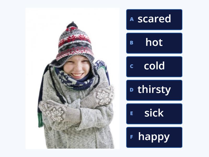 Feelings (Talking flashcards Maple leaf learning) - Quiz