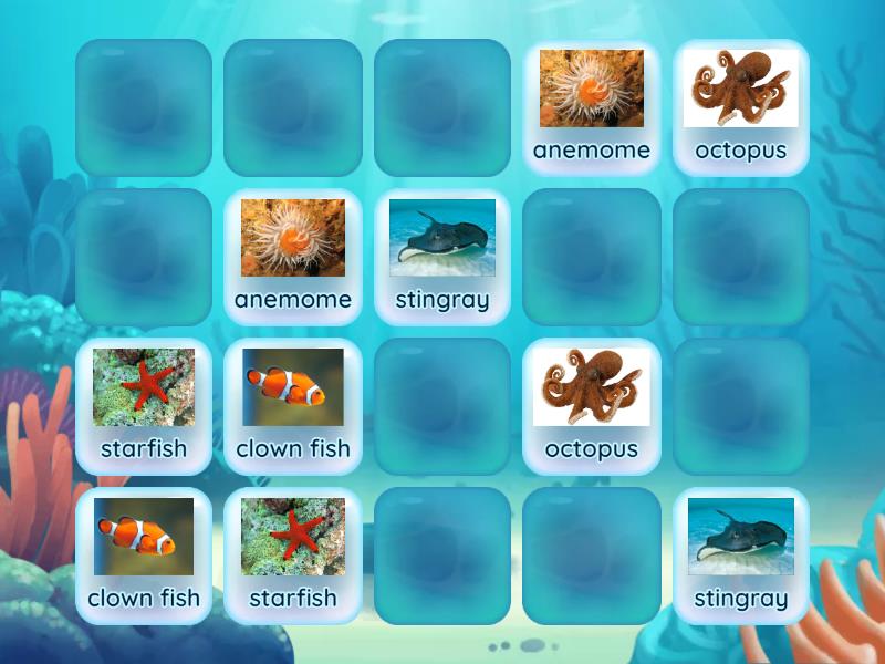 ocean animal memory - Matching pairs