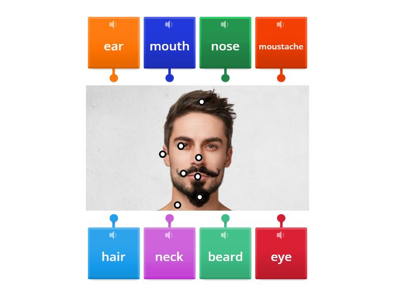Face - Labelled diagram
