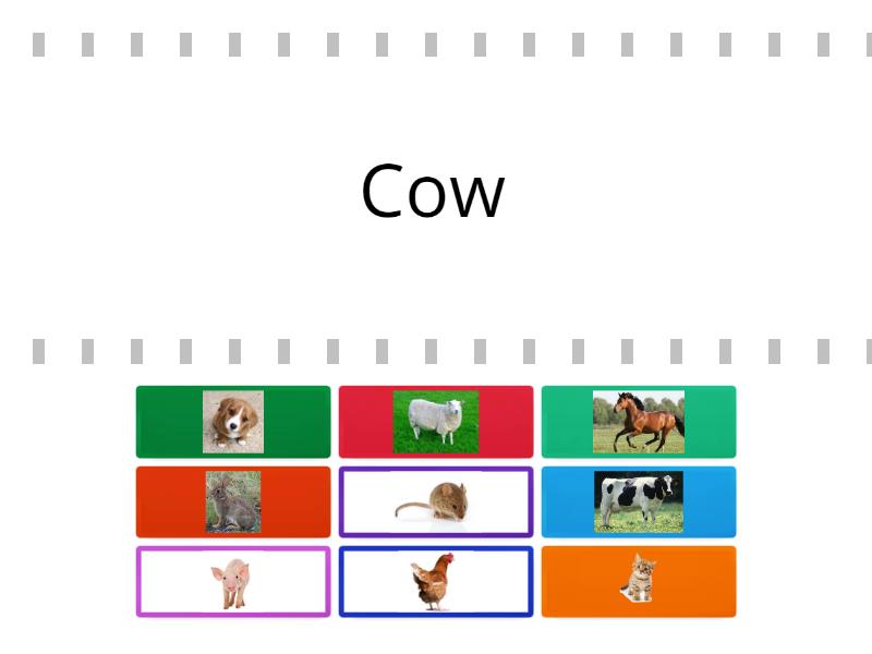 Farm Animals Kindergarten - Eşleşmeyi bul