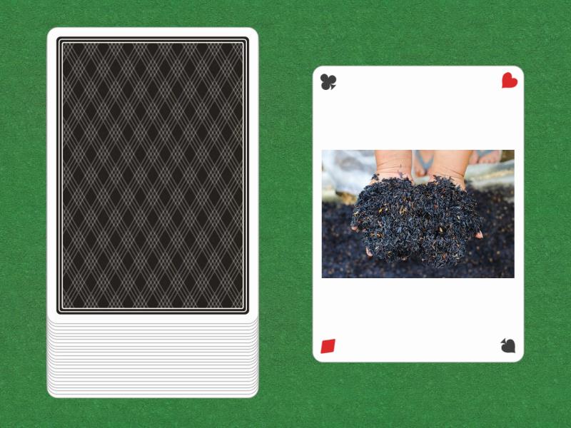 Kartu Belajar PLH - Speaking cards