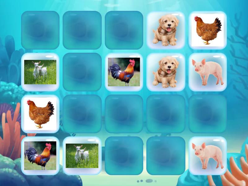 Review A5 Animals - Matching pairs